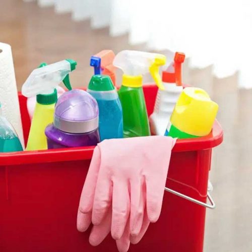 Worried About Your Toxic Cleaning Products?