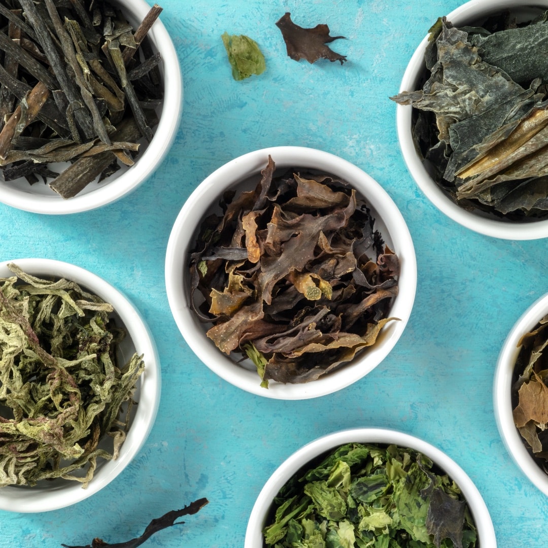 UNLOCKING THE HEALTH BENEFITS OF SEA VEGETABLES