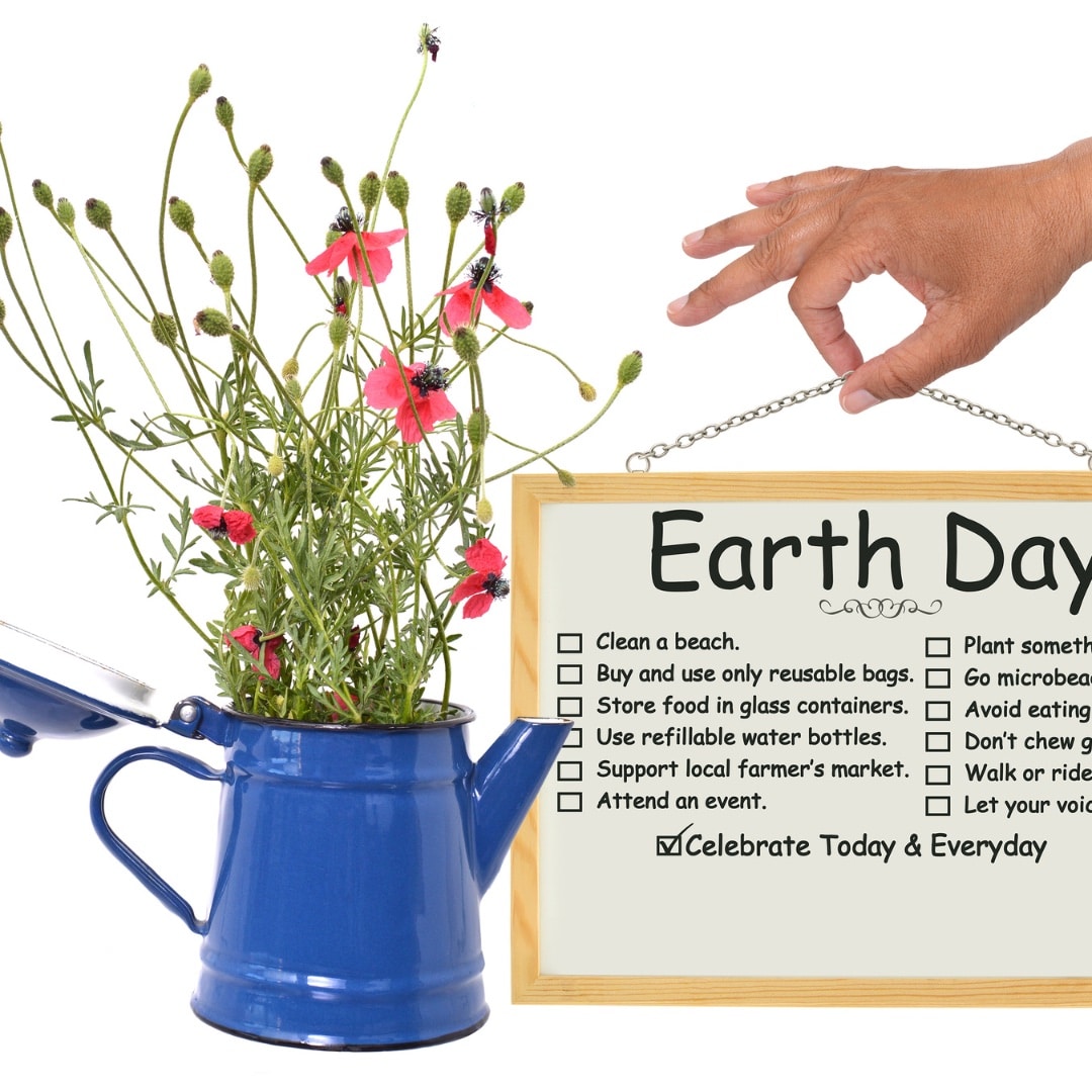 10 REASONS YOU SHOULD CELEBRATE EARTH DAY!
