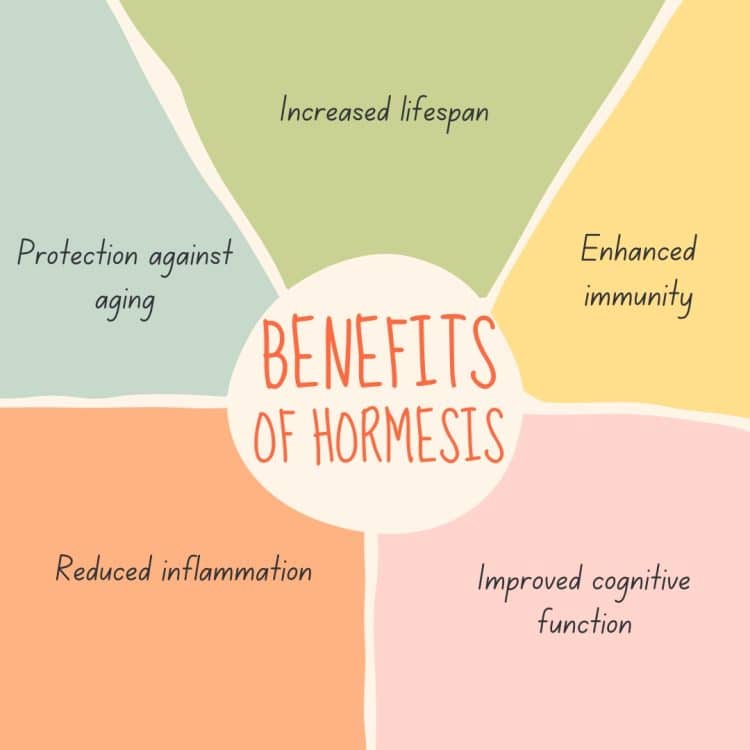 Unlocking the Power of Hormesis for a Longer and Healthier Life