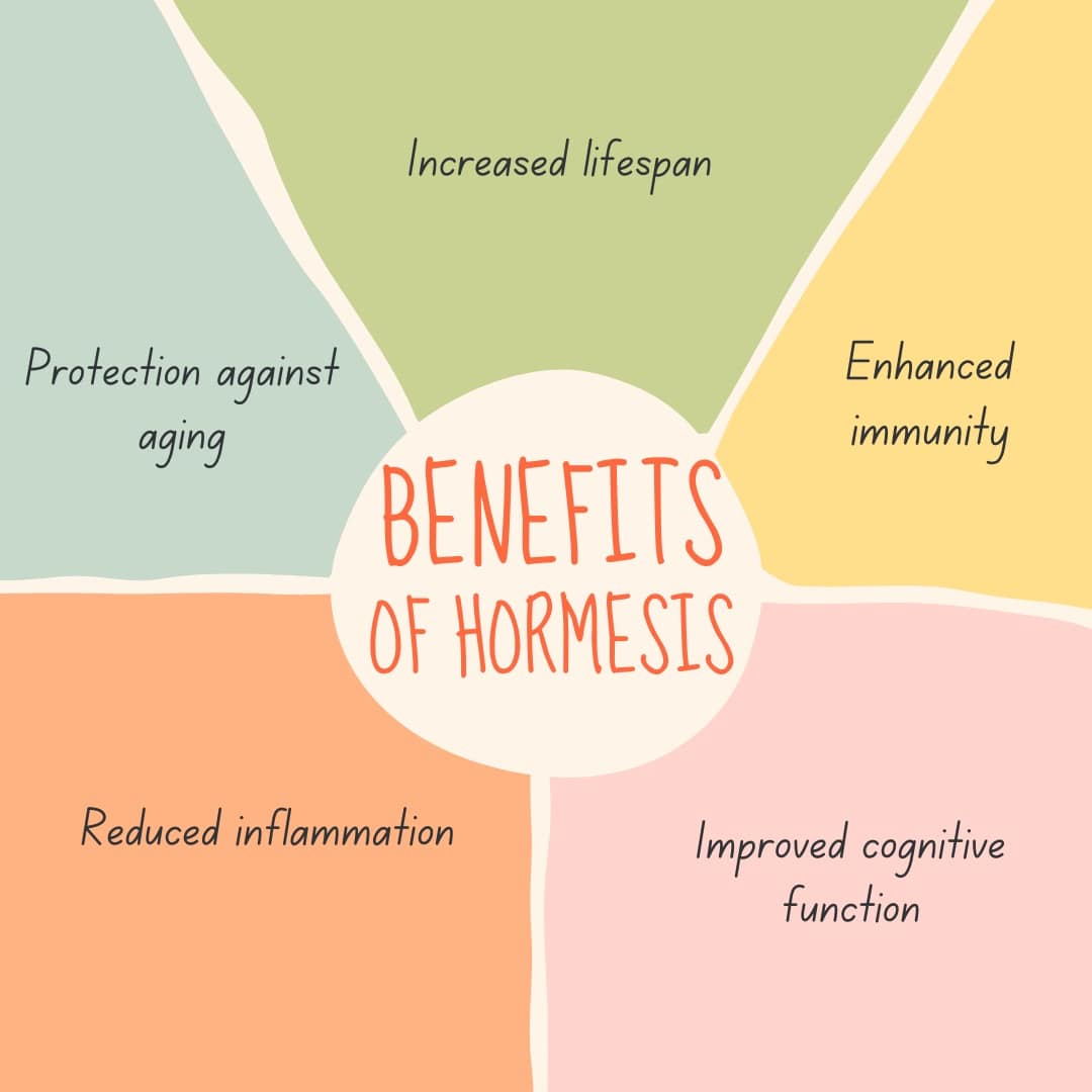 Unlocking the Power of Hormesis for a Longer and Healthier Life